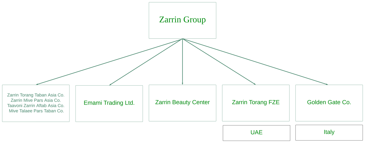 About – Zarrin Group