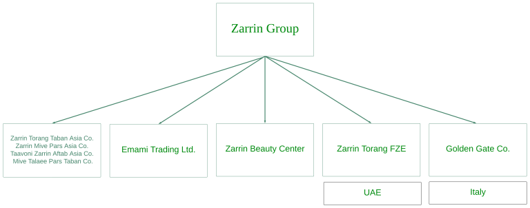 About – Zarrin Group